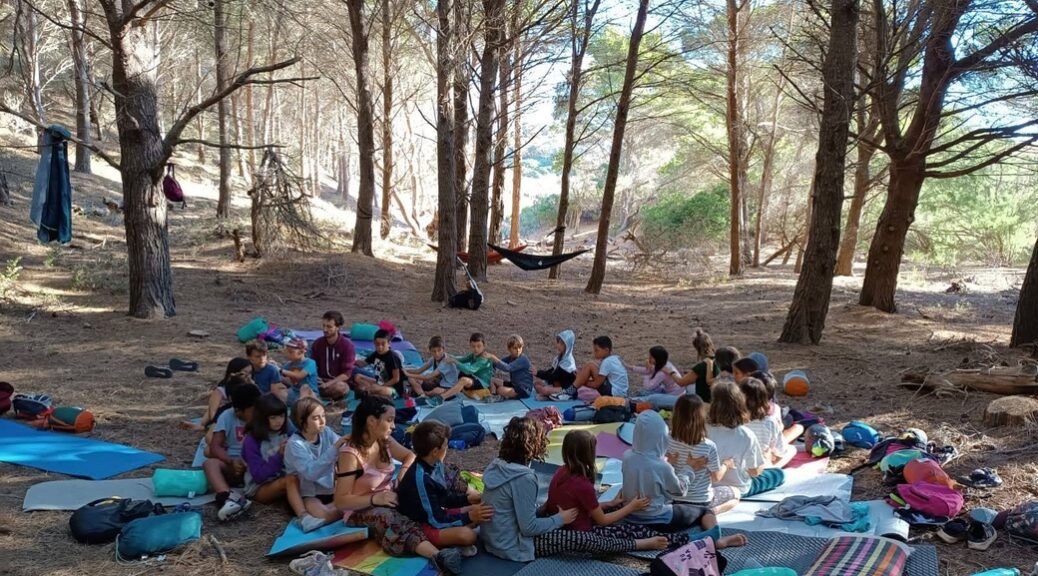 Everything ready for the 2025 Summer Environmental Camps! | GOB Menorca